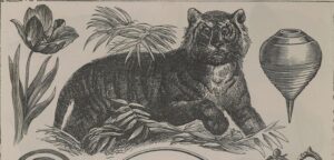 Welcome Back Tigers: Download an Illustration of the Greatest Mascot ...